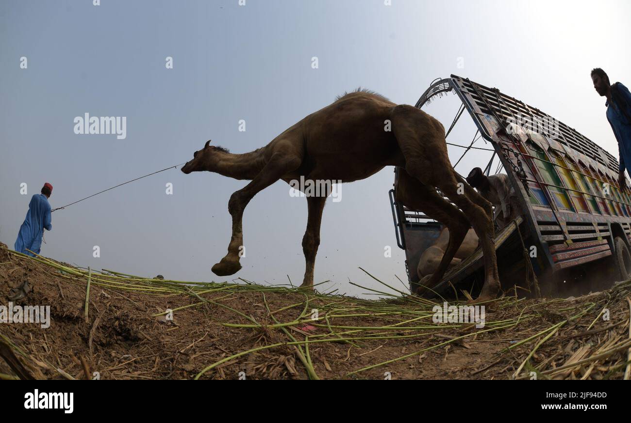 Lahore, Punjab, Pakistan. 28th June, 2022. Pakistani vendors display ...