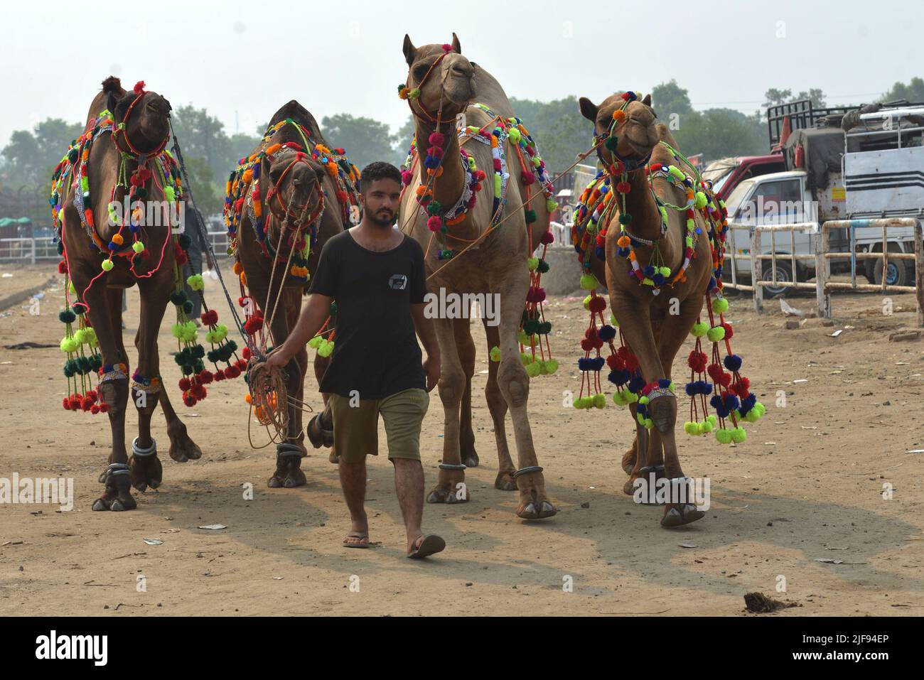 Lahore, Punjab, Pakistan. 28th June, 2022. Pakistani vendors display ...