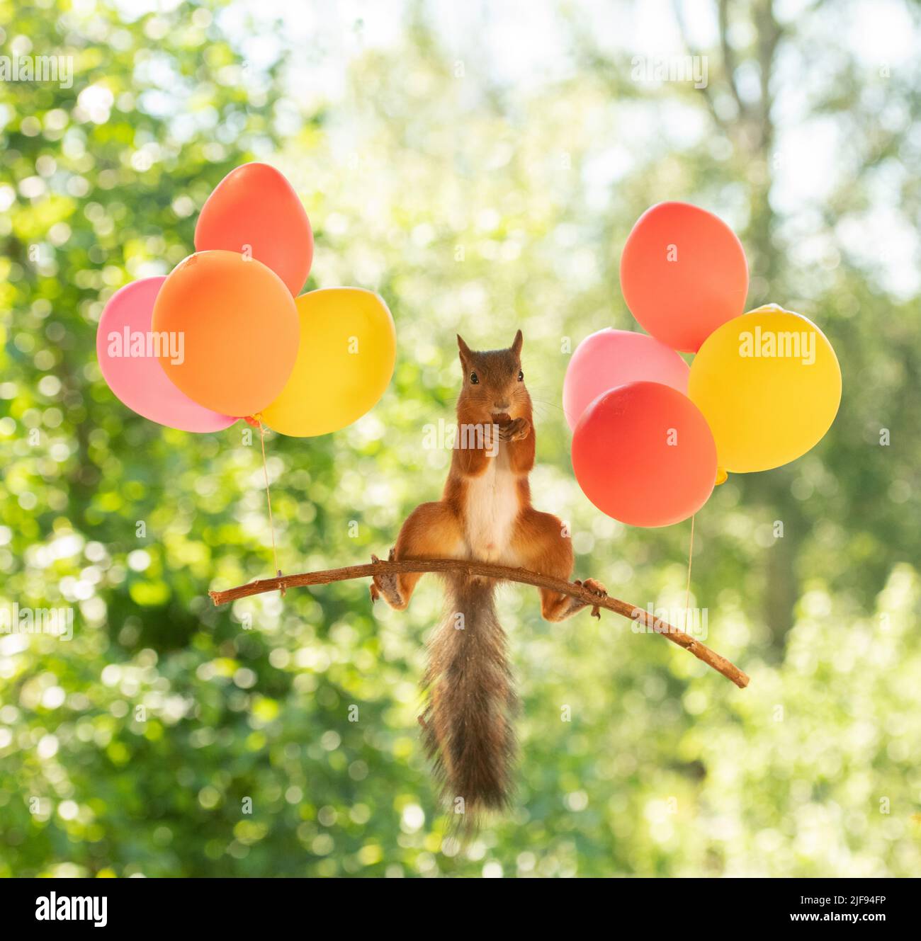 Funny hot air balloons balloon hi-res stock photography and images - Alamy