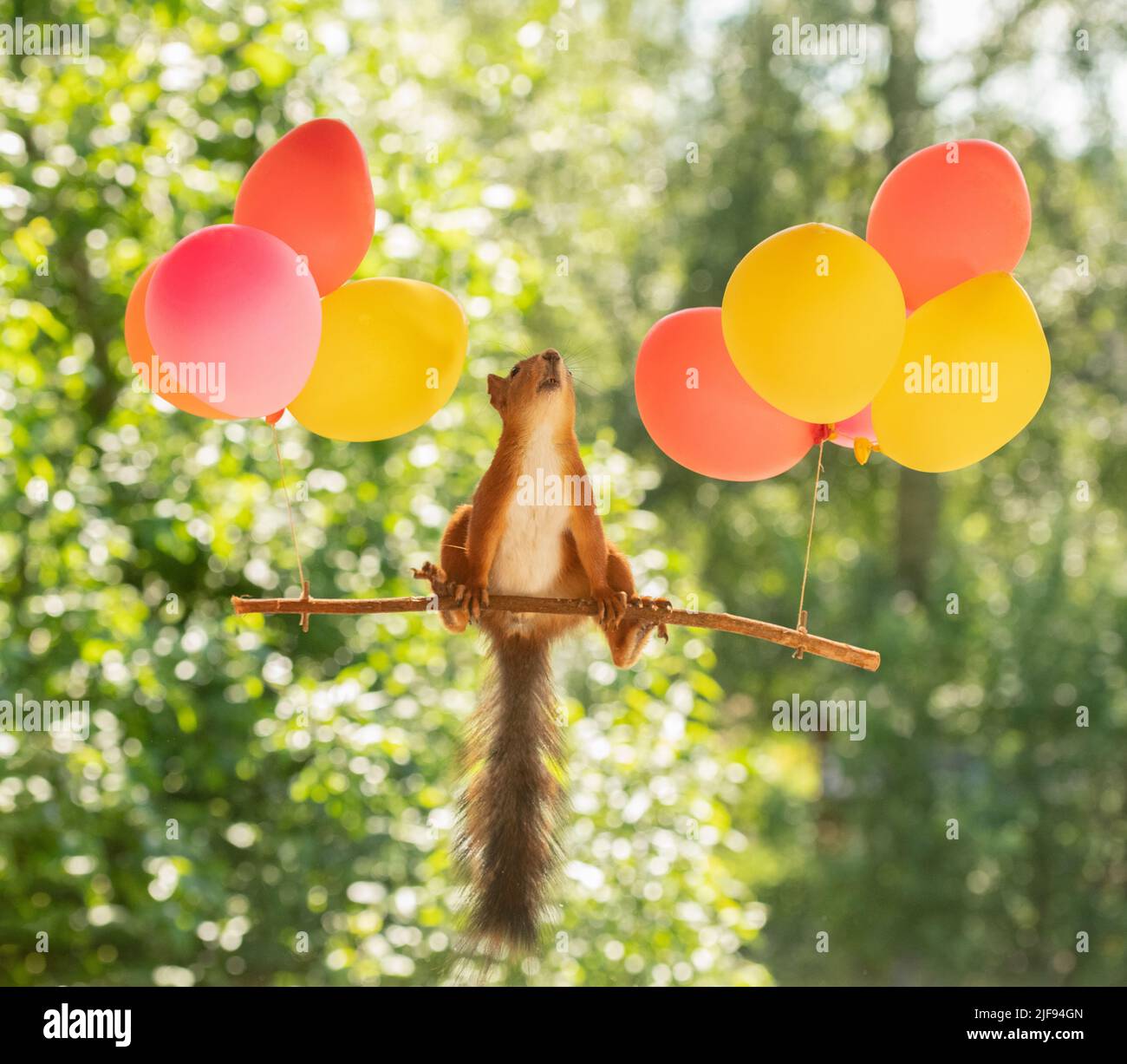 Funny hot air balloons balloon hi-res stock photography and images - Alamy