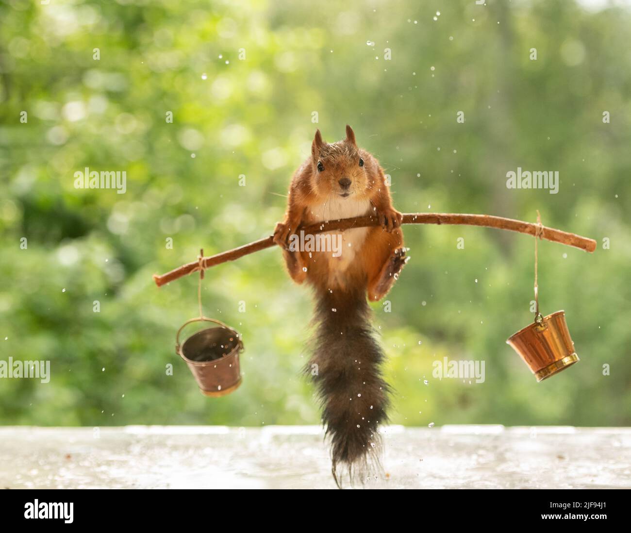Lift ear up hi-res stock photography and images - Alamy