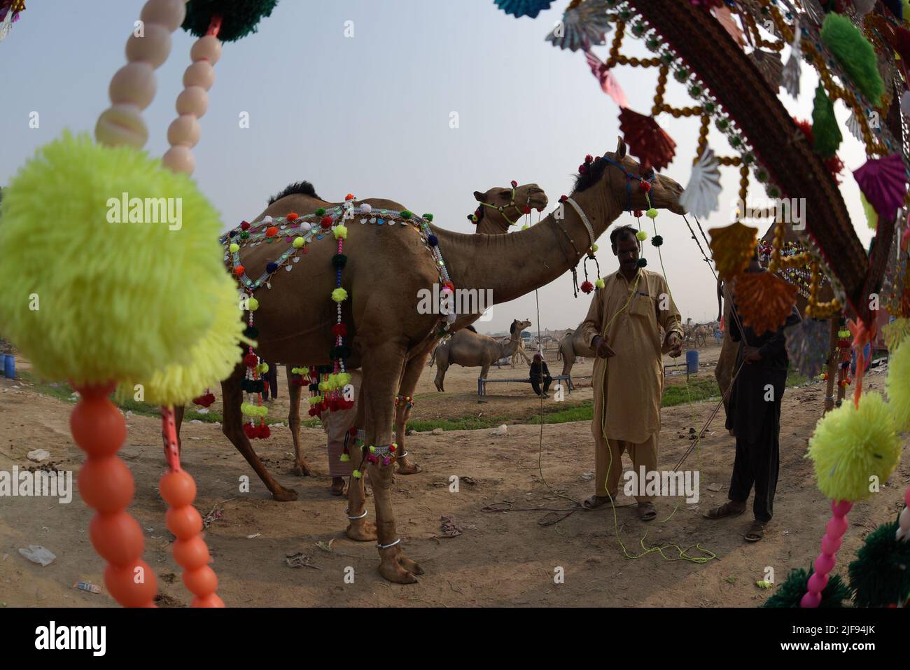 Lahore, Punjab, Pakistan. 28th June, 2022. Pakistani vendors display ...