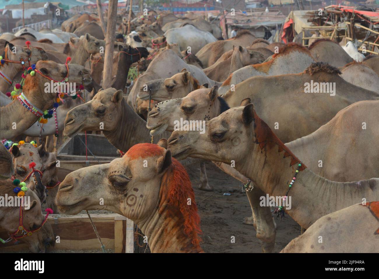 Lahore, Punjab, Pakistan. 28th June, 2022. Pakistani vendors display ...