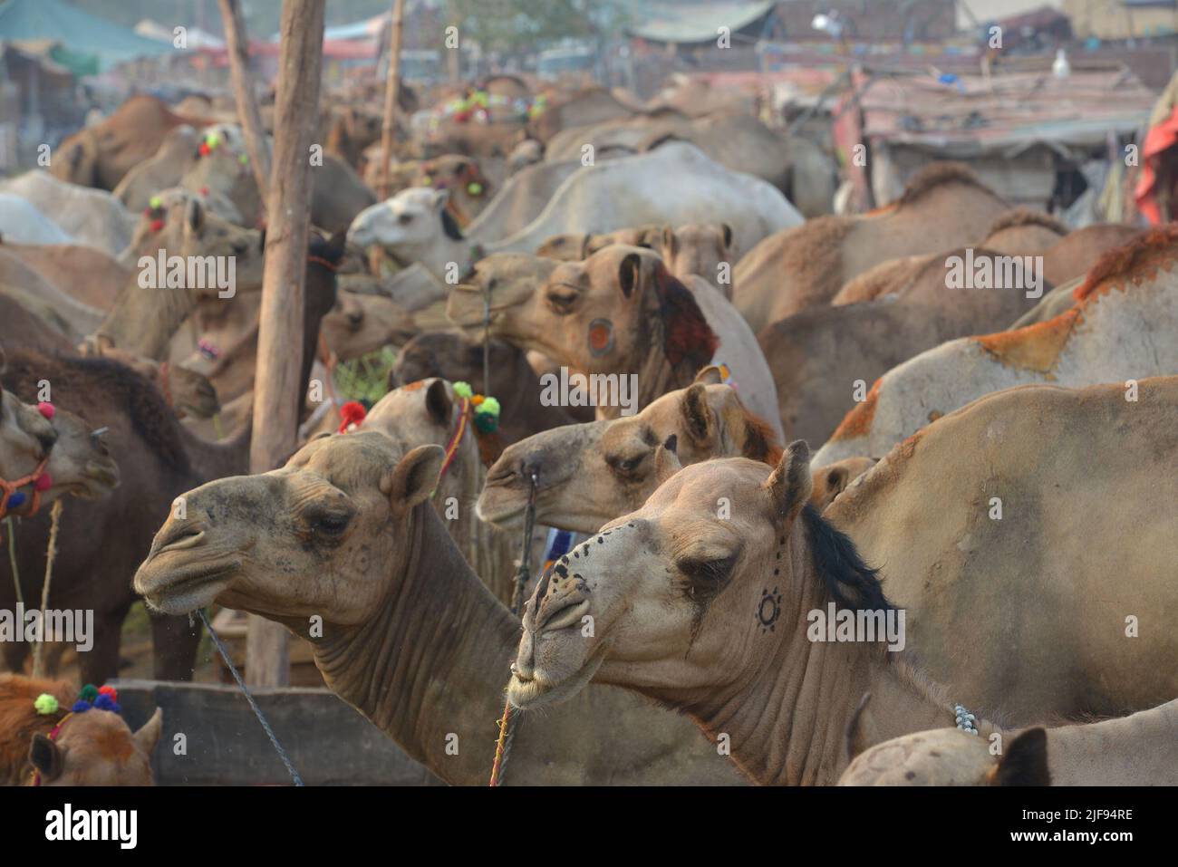 Lahore, Punjab, Pakistan. 28th June, 2022. Pakistani vendors display ...