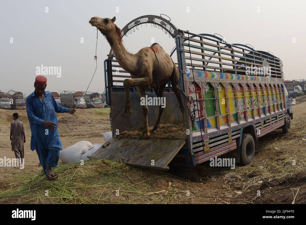Lahore, Punjab, Pakistan. 28th June, 2022. Pakistani vendors display ...