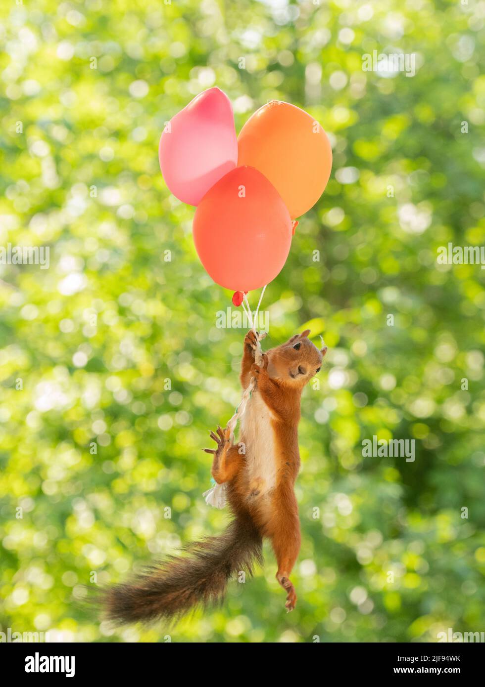 Funny hot air balloons balloon hi-res stock photography and images - Alamy