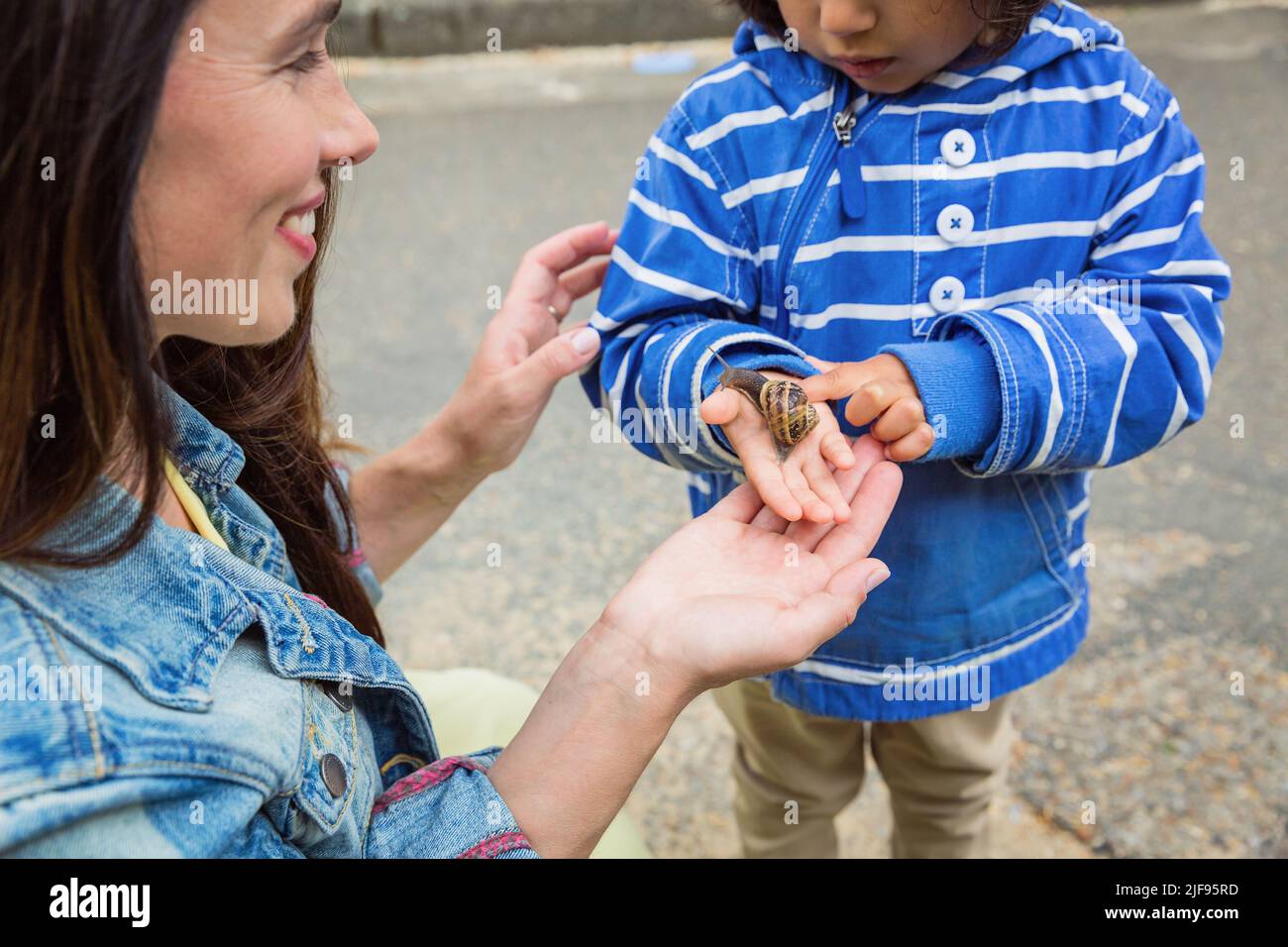 Mother and little handsome baby boy playing outdoor with snail Stock ...