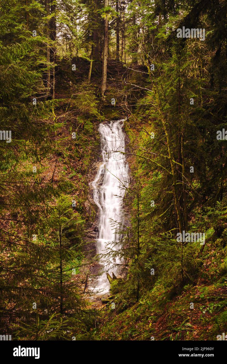 Bourrique hi-res stock photography and images - Alamy