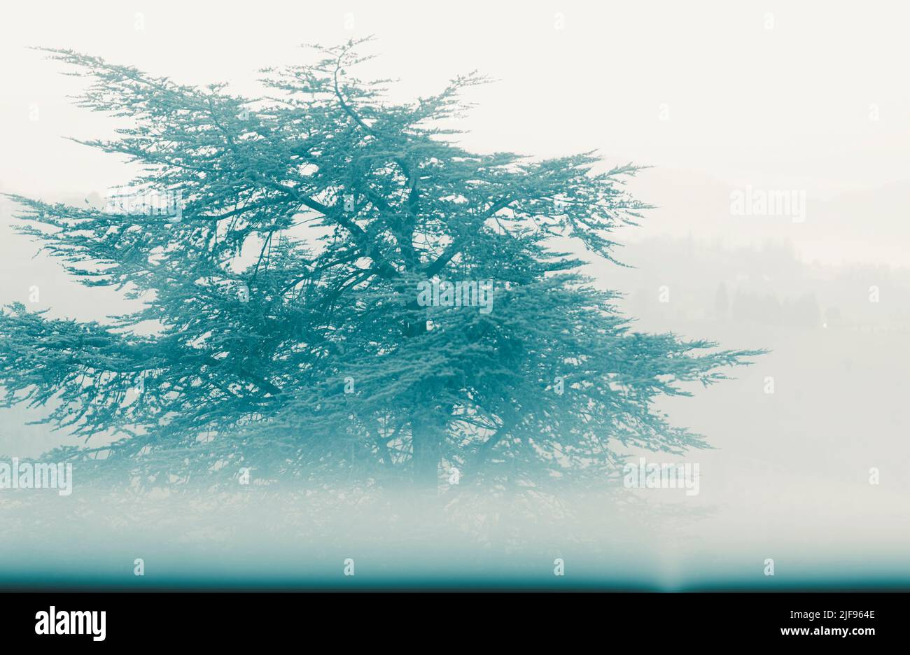 View from the window, winter landscape Stock Photo - Alamy