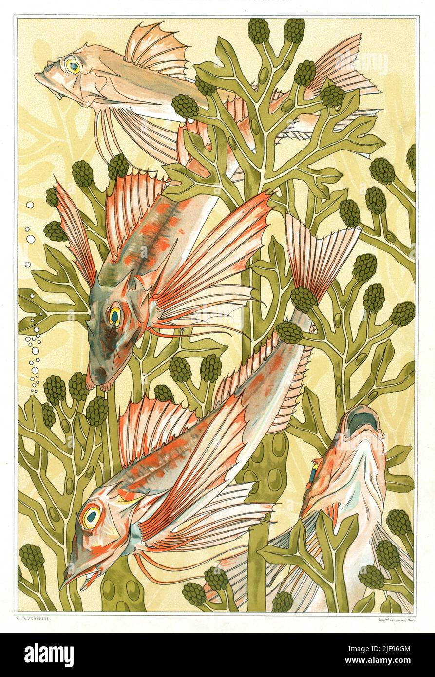 Maurice Pillard Verneuil Stock Photo - Alamy