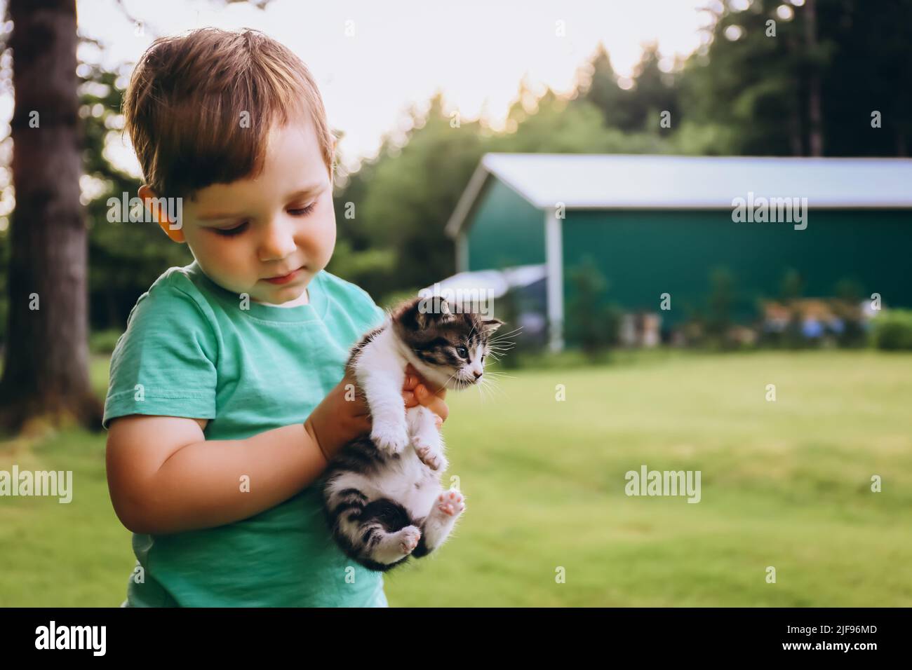 Child boy holding cat kitten hi-res stock photography and images - Alamy