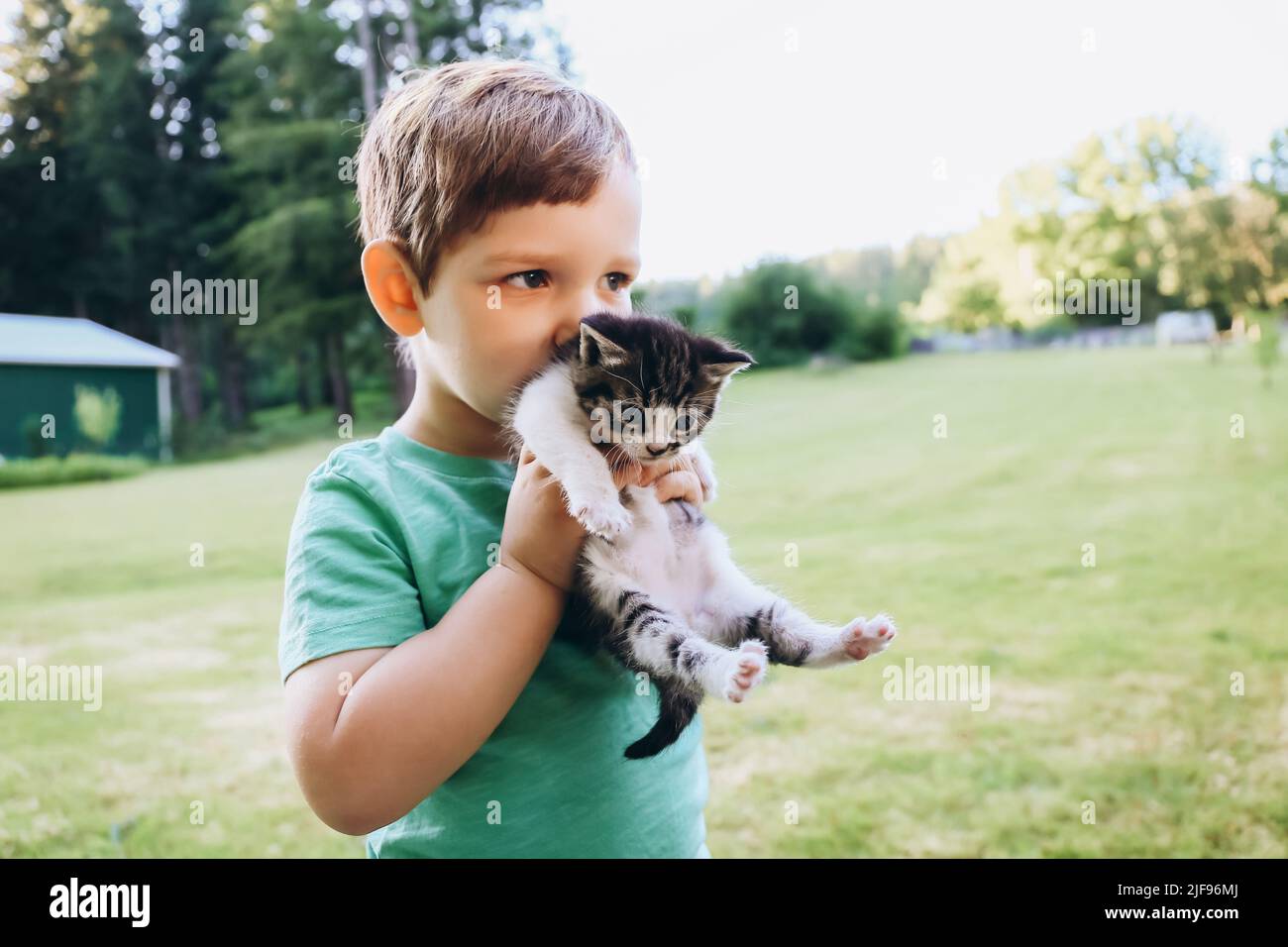Little kid kissing a kitten in his arms in nature Stock Photo - Alamy