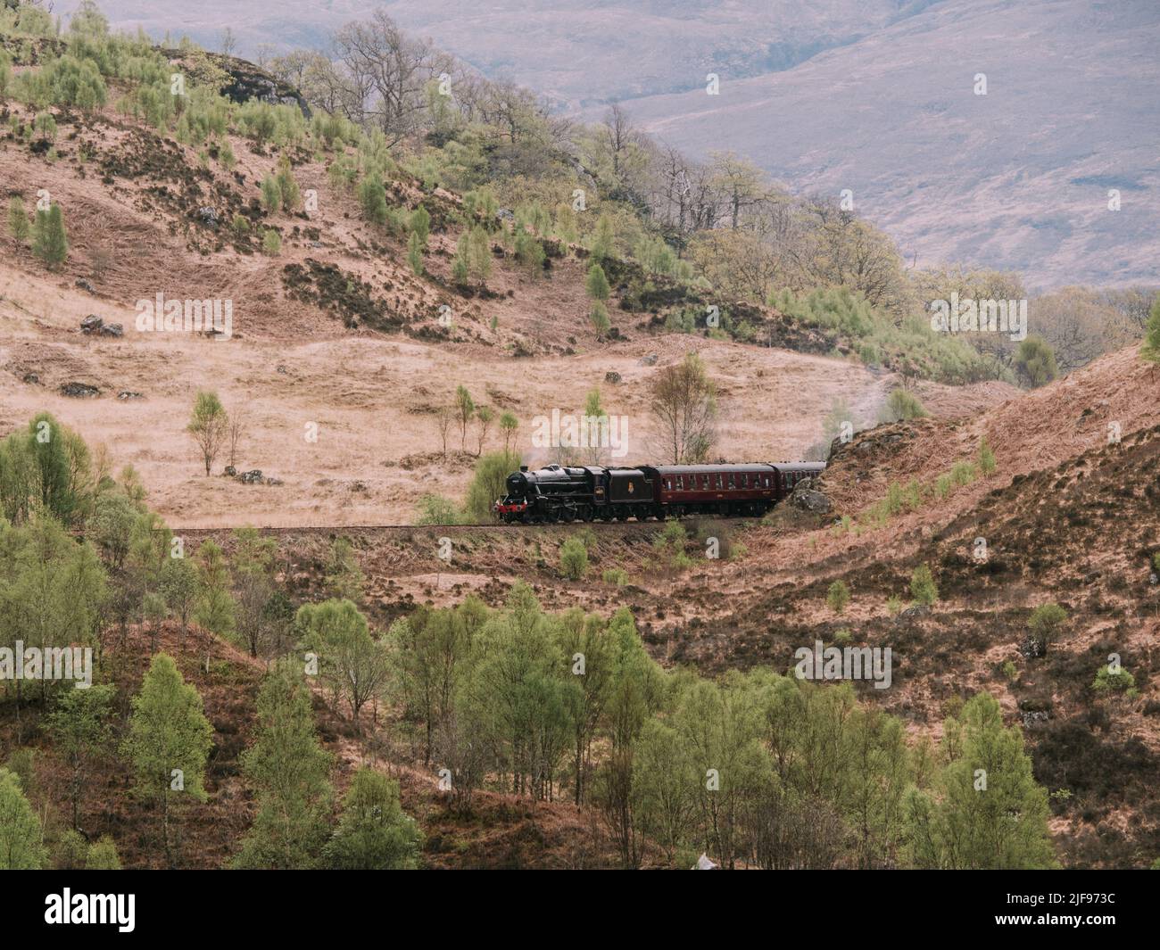 Jacobite steam locomotive hi-res stock photography and images - Alamy
