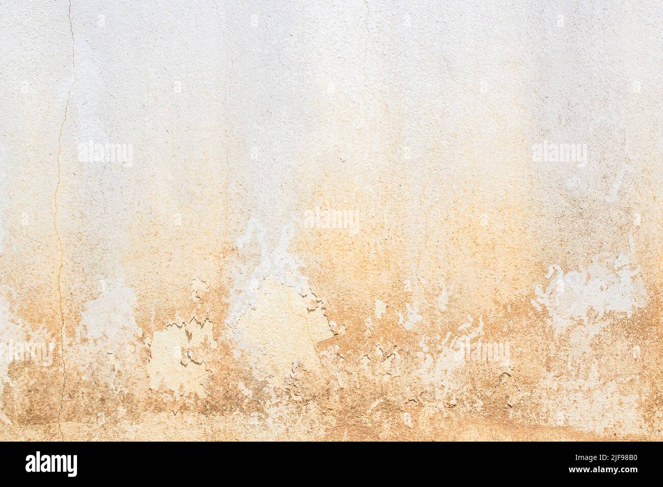 Hi res grunge wall background and texture for any design Stock Photo ...