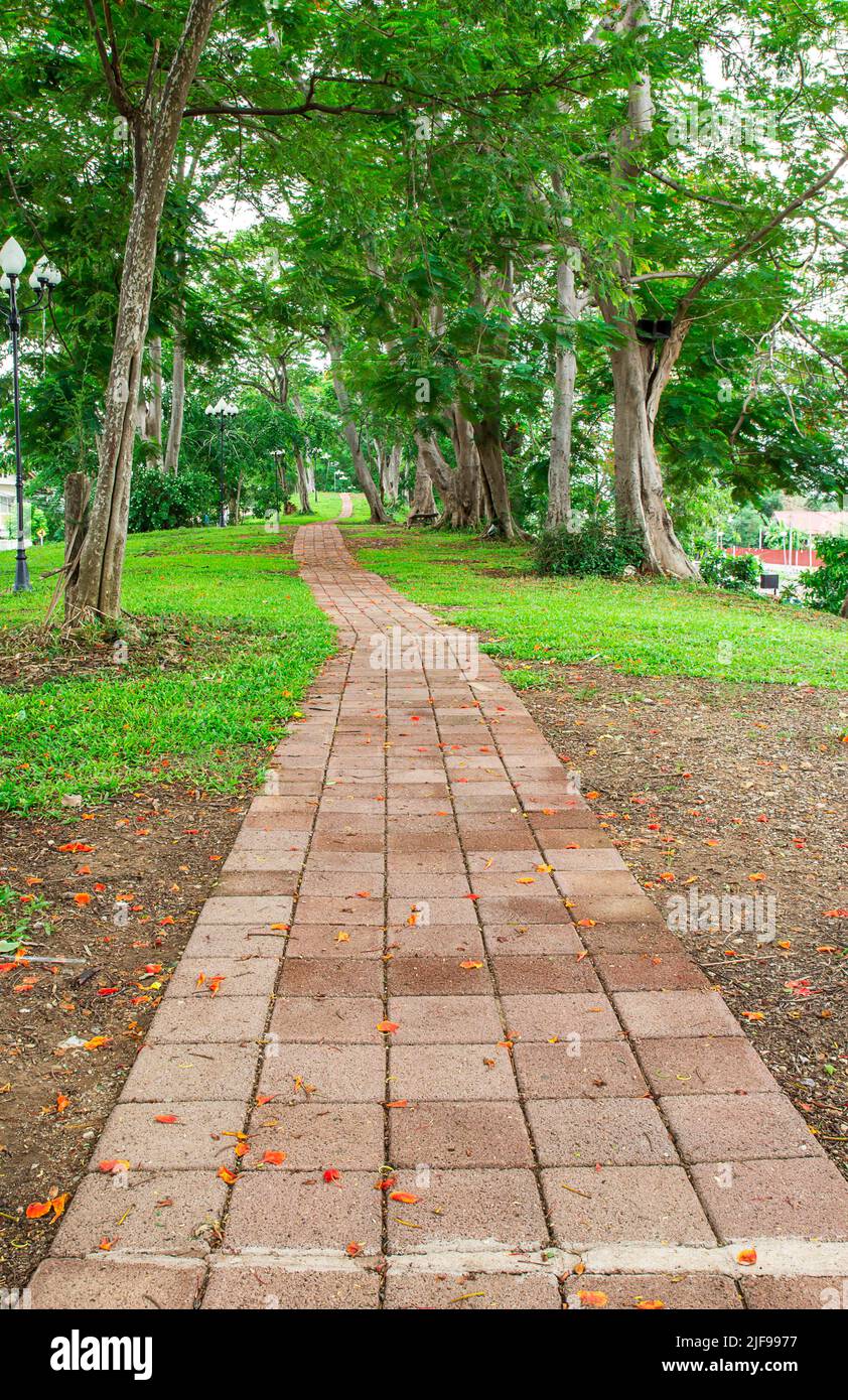 The Stone block walk path in the park Stock Photo - Alamy