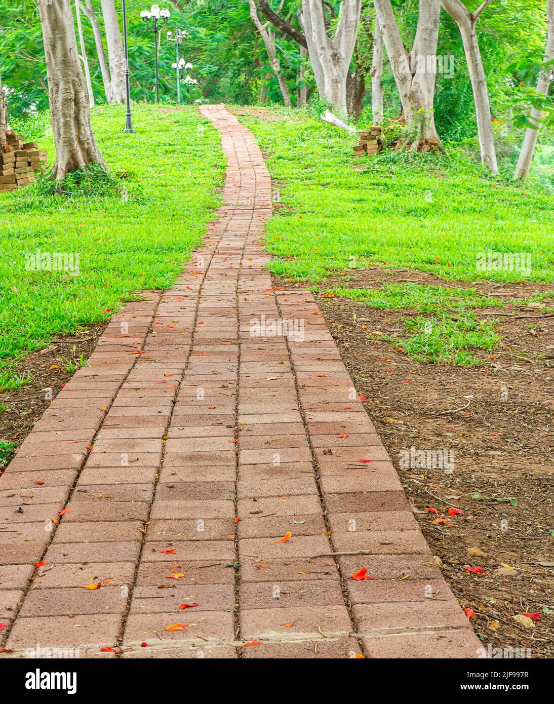 The Stone block walk path in the park Stock Photo - Alamy