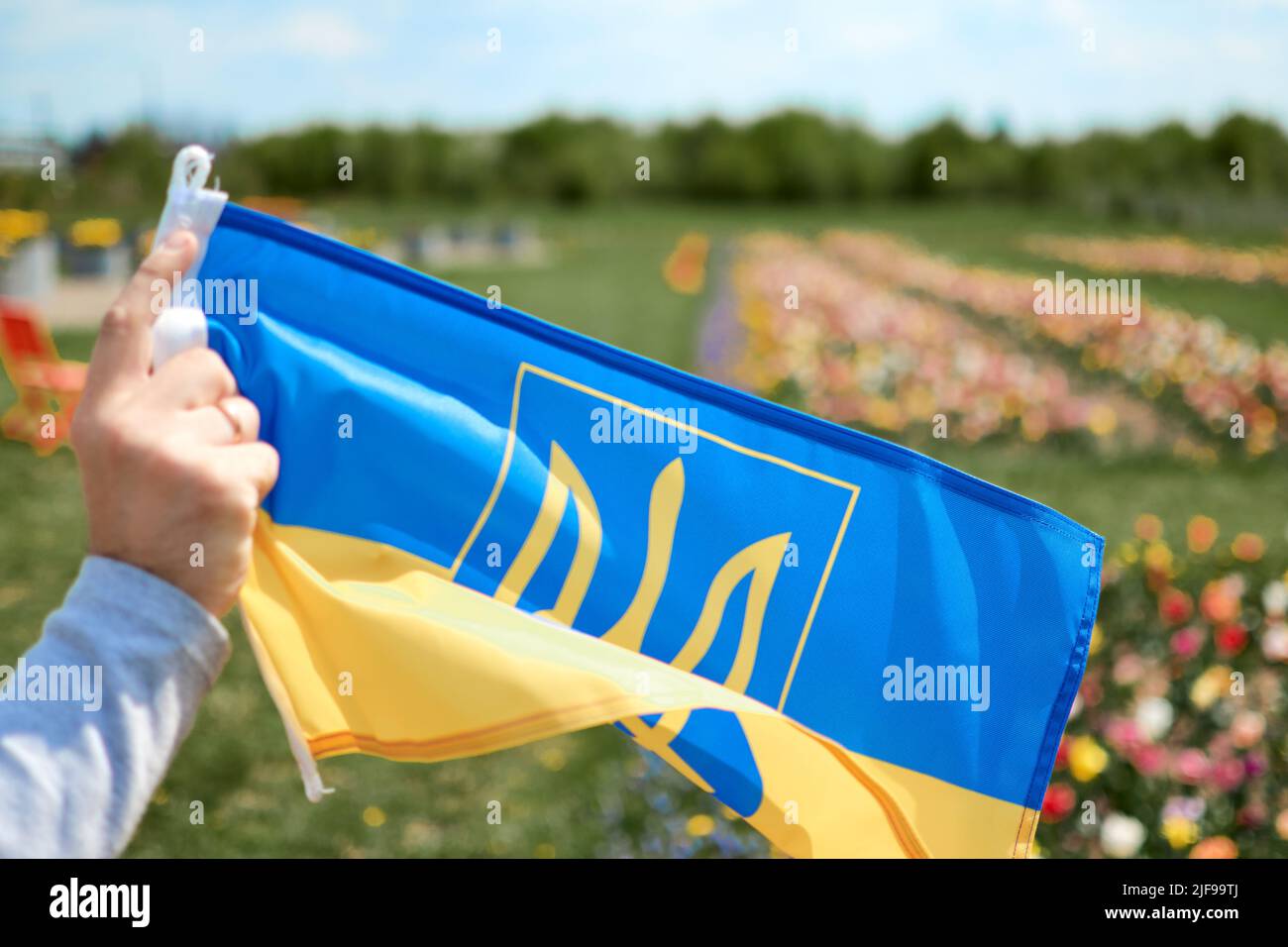 Hand holding Ukrainian flag on yellow-blue background. Kids support ...