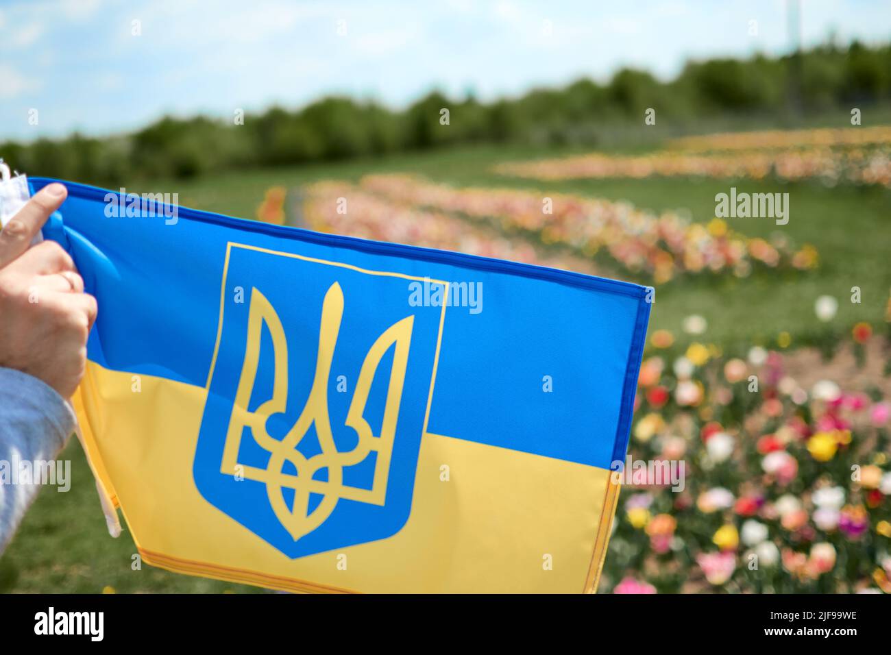 Hand holding Ukrainian flag on yellow-blue background. Kids support ...