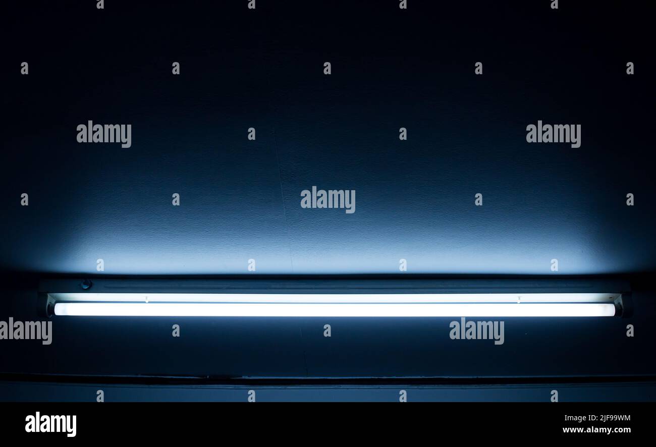 Detail of a fluorescent tube mounted on a wall, false green color light ...