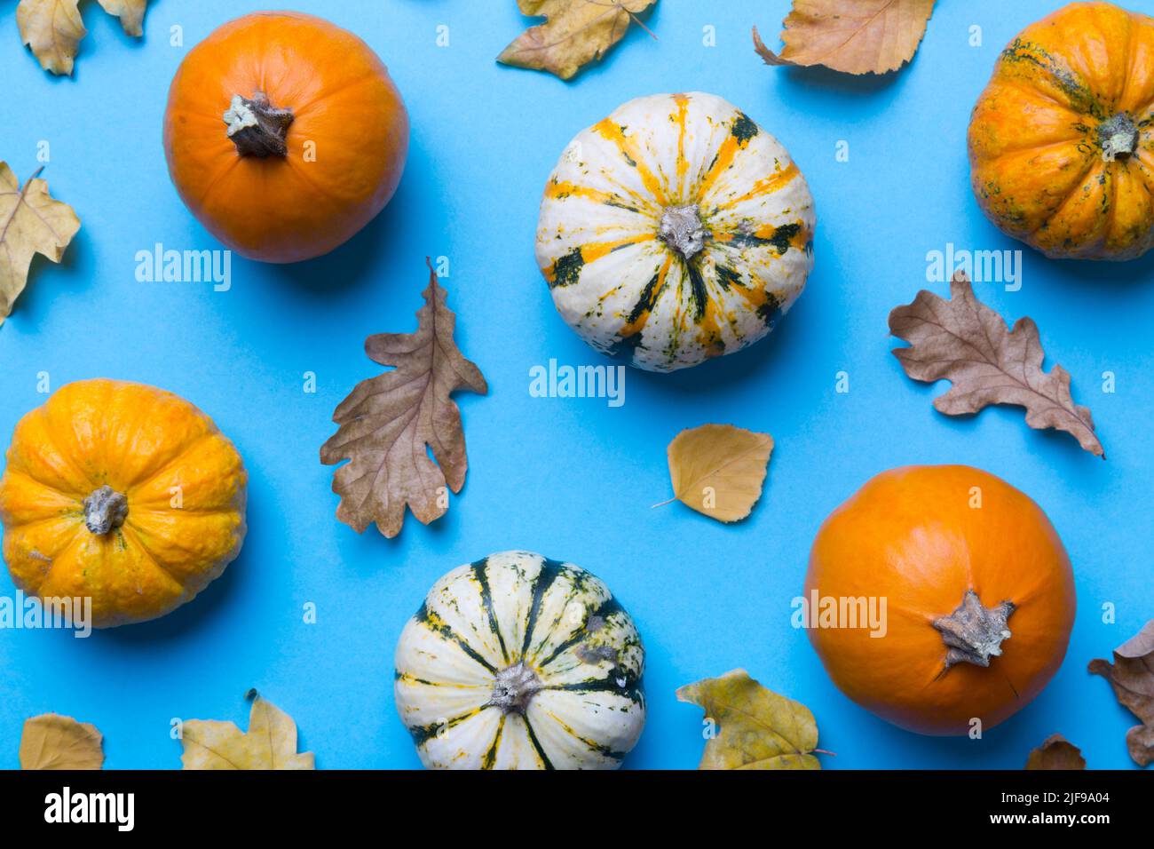Autumn composition. Pattern made of dried leaves and other design ...