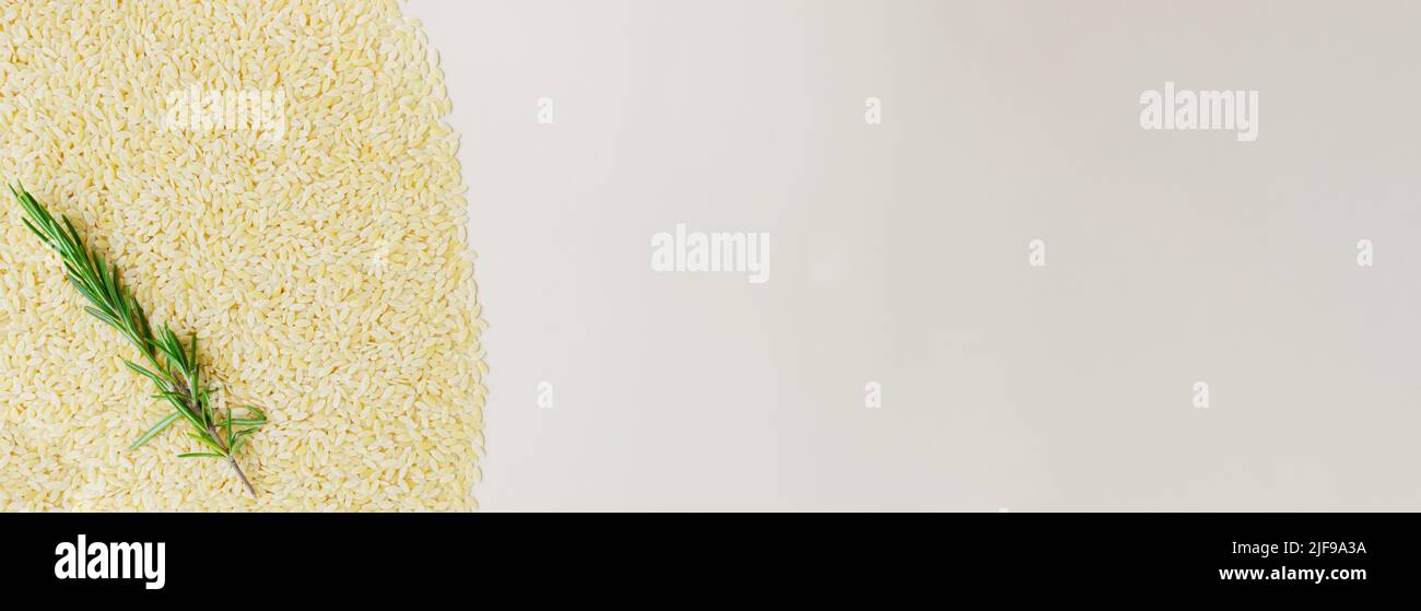 Banner. Raw risoni pasta with a sprig of rosemary on a light background ...