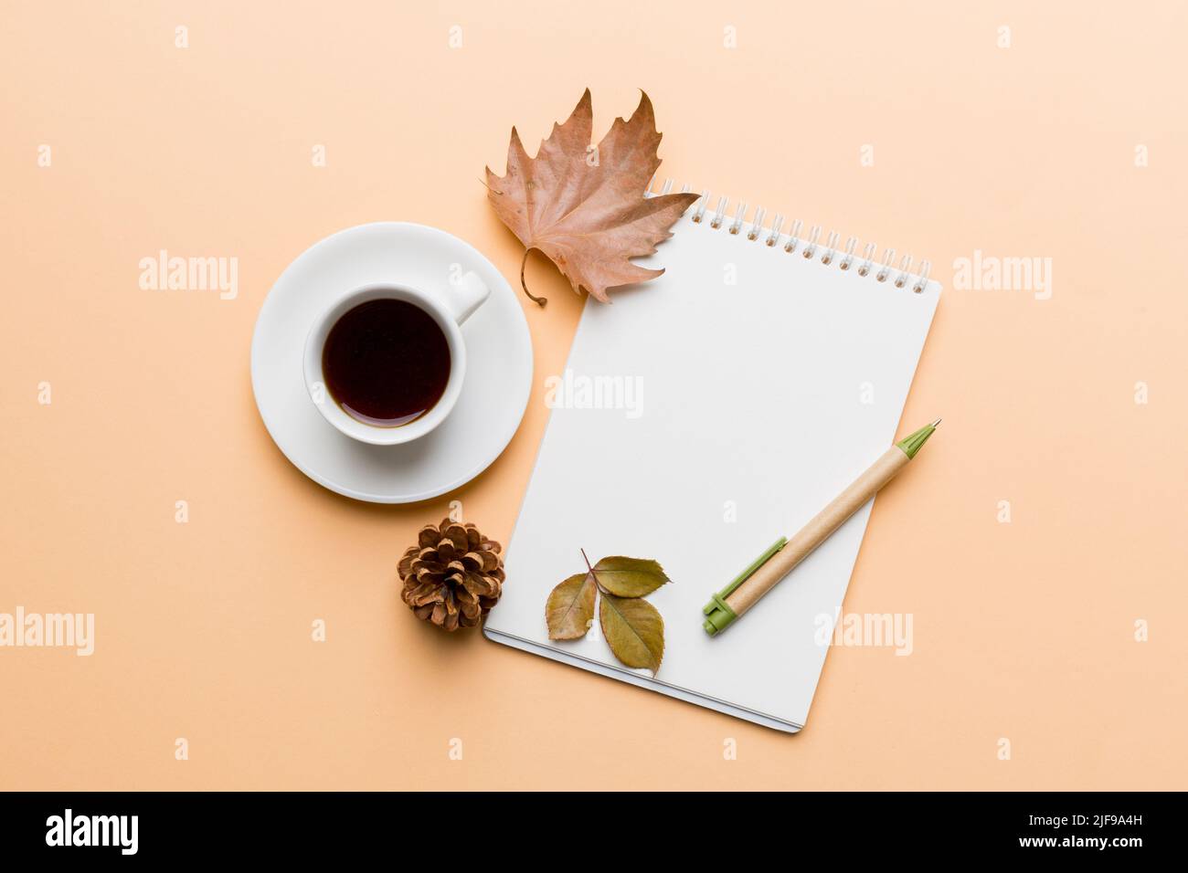 Autumn composition: fallen leaves and notebook mock up on colored ...
