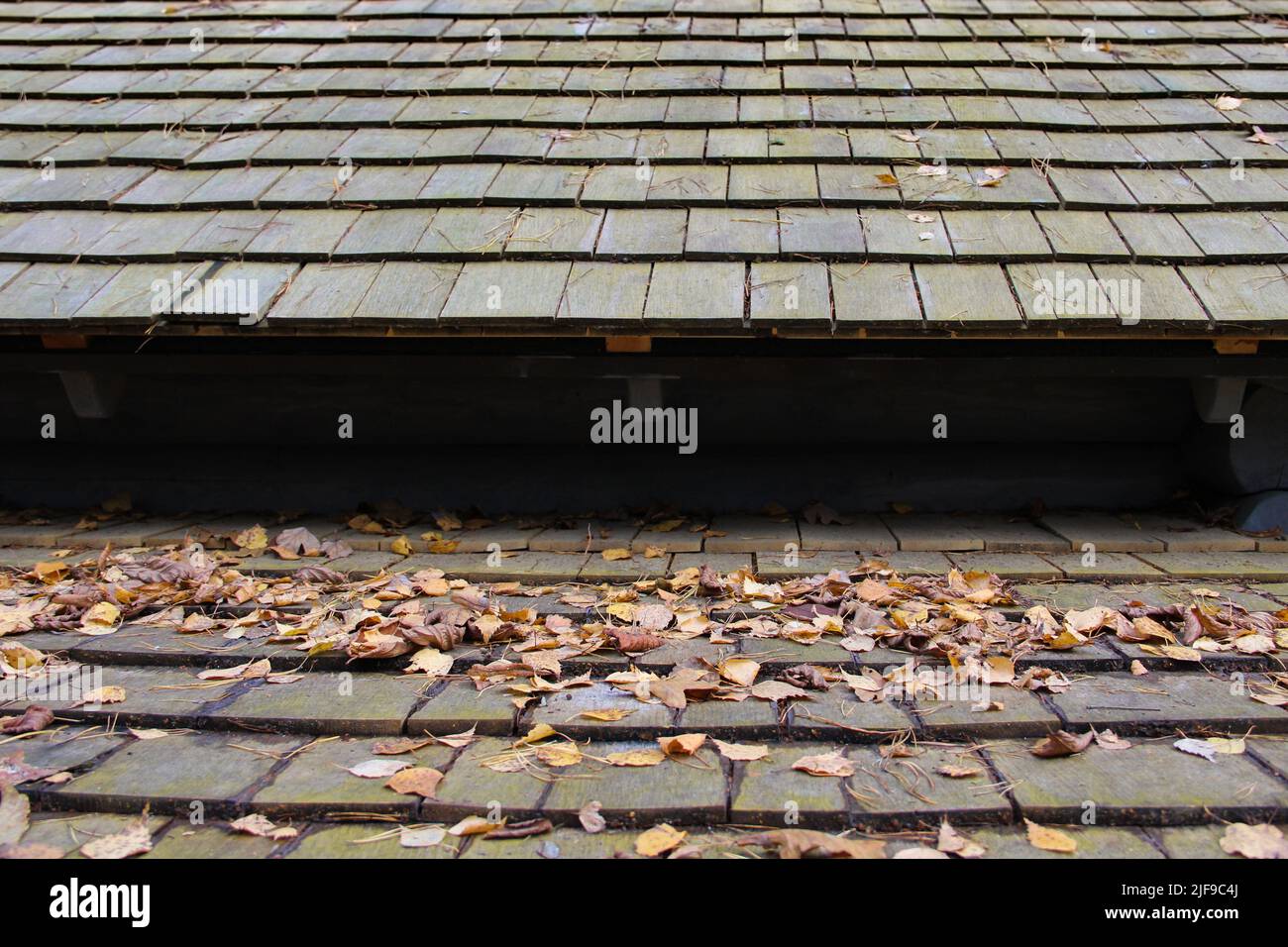 Old wooden shingle texture. Roof covering. Weathered roof tile Stock ...