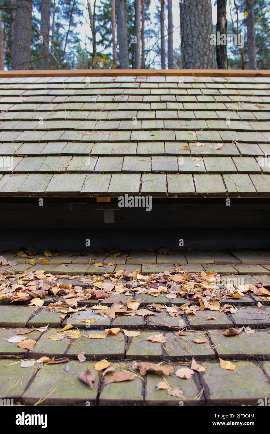 Old wooden shingle texture. Roof covering. Weathered roof tile Stock ...