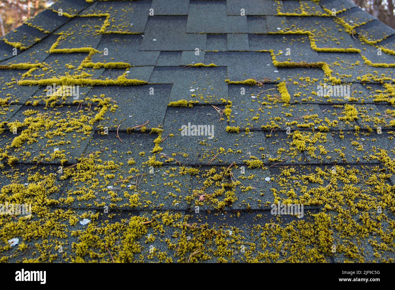 Asphalt roofing in a symmetrical pattern. Composite shingle. Repeating ...