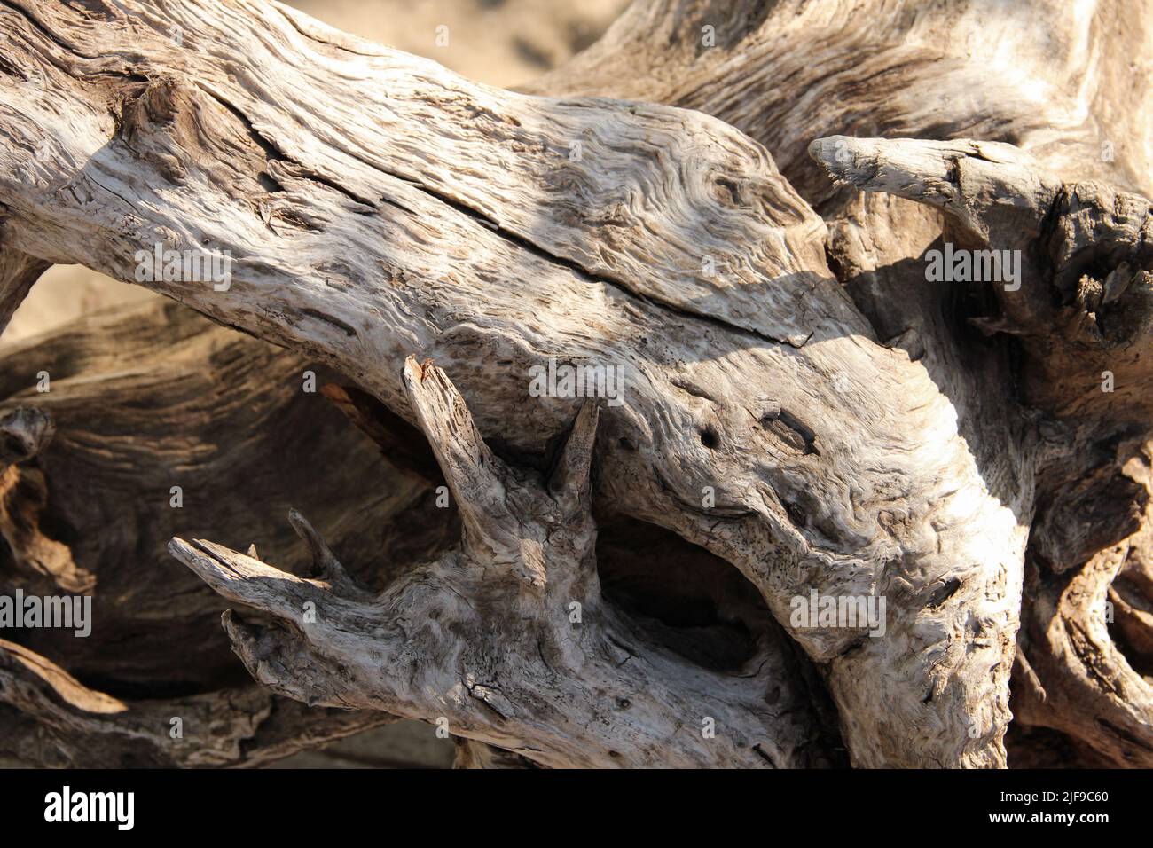 Driftwood background with highlights and shadows Stock Photo - Alamy