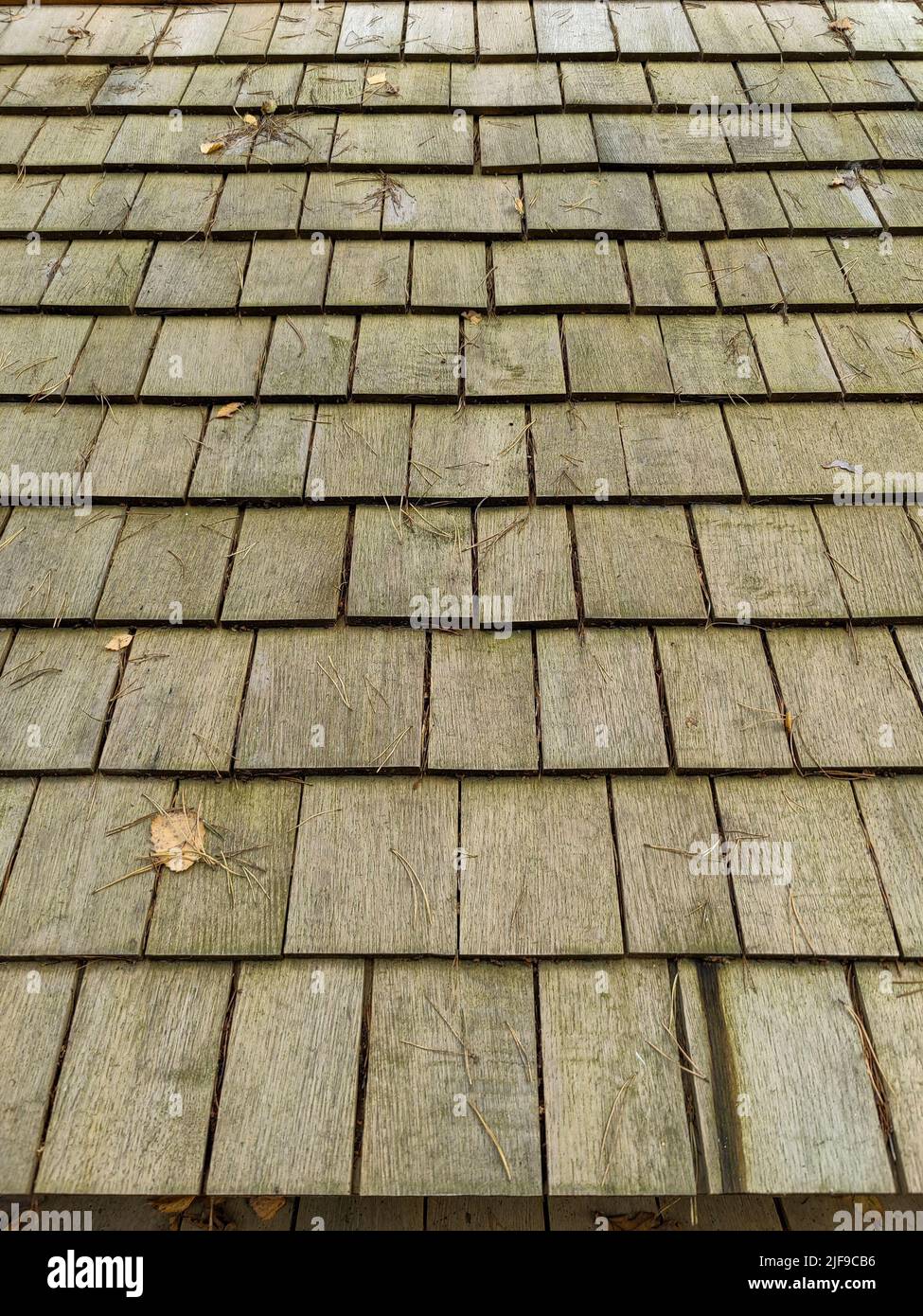 Old wooden shingle texture. Roof covering. Weathered roof tile Stock ...