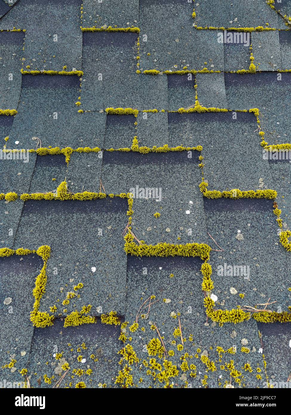 Asphalt roofing in a symmetrical pattern. Composite shingle. Repeating ...