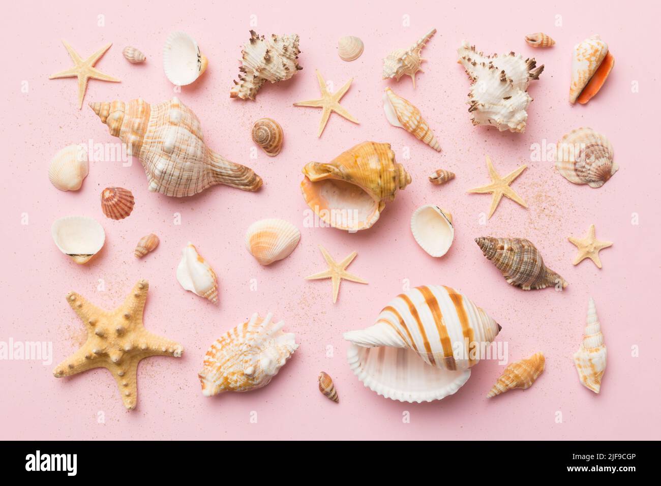 Summer time concept Flat lay composition with beautiful starfish and ...