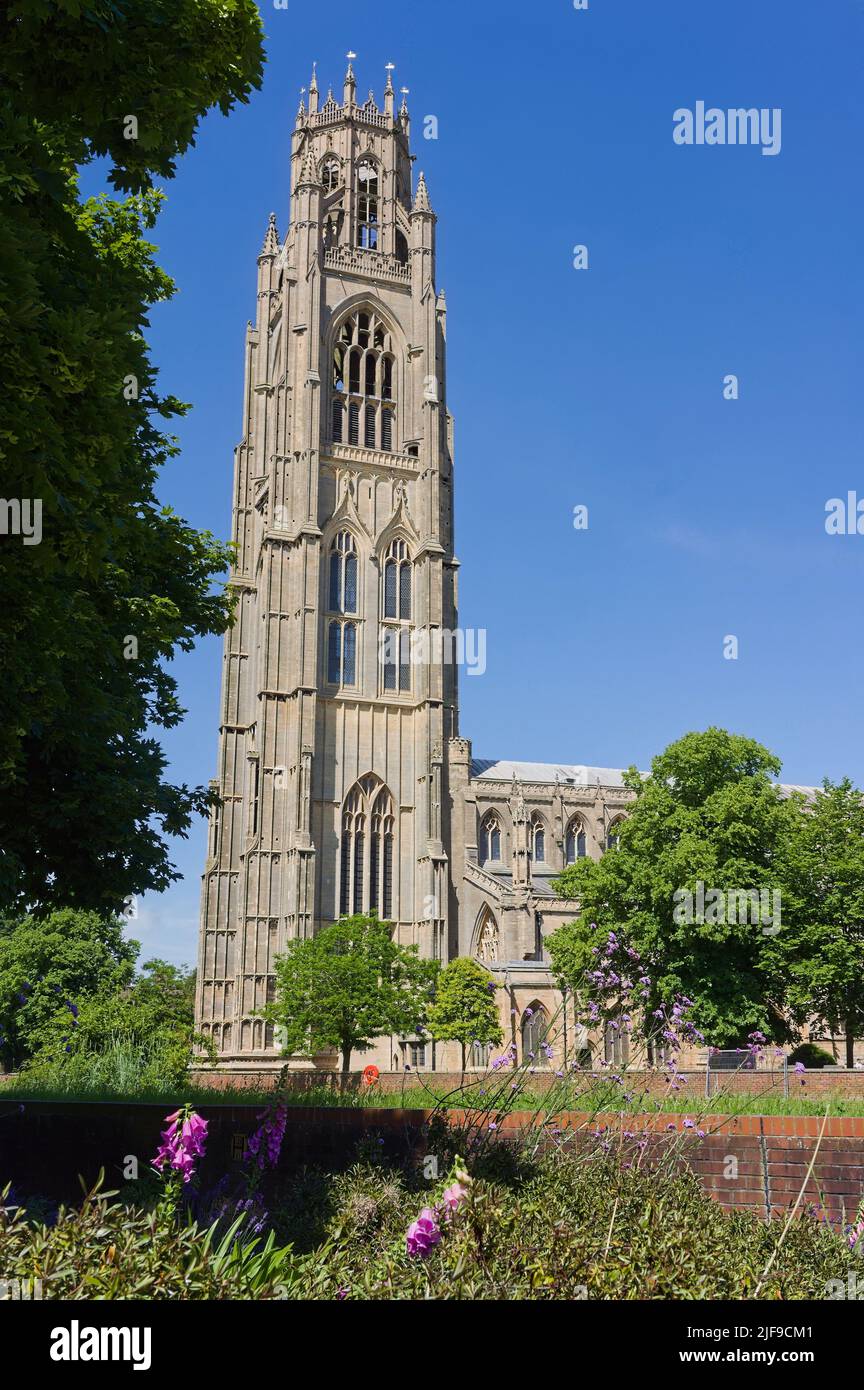 Stump tower hi-res stock photography and images - Alamy