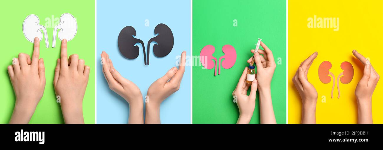 Collage of female hands with paper kidneys on color background, top ...