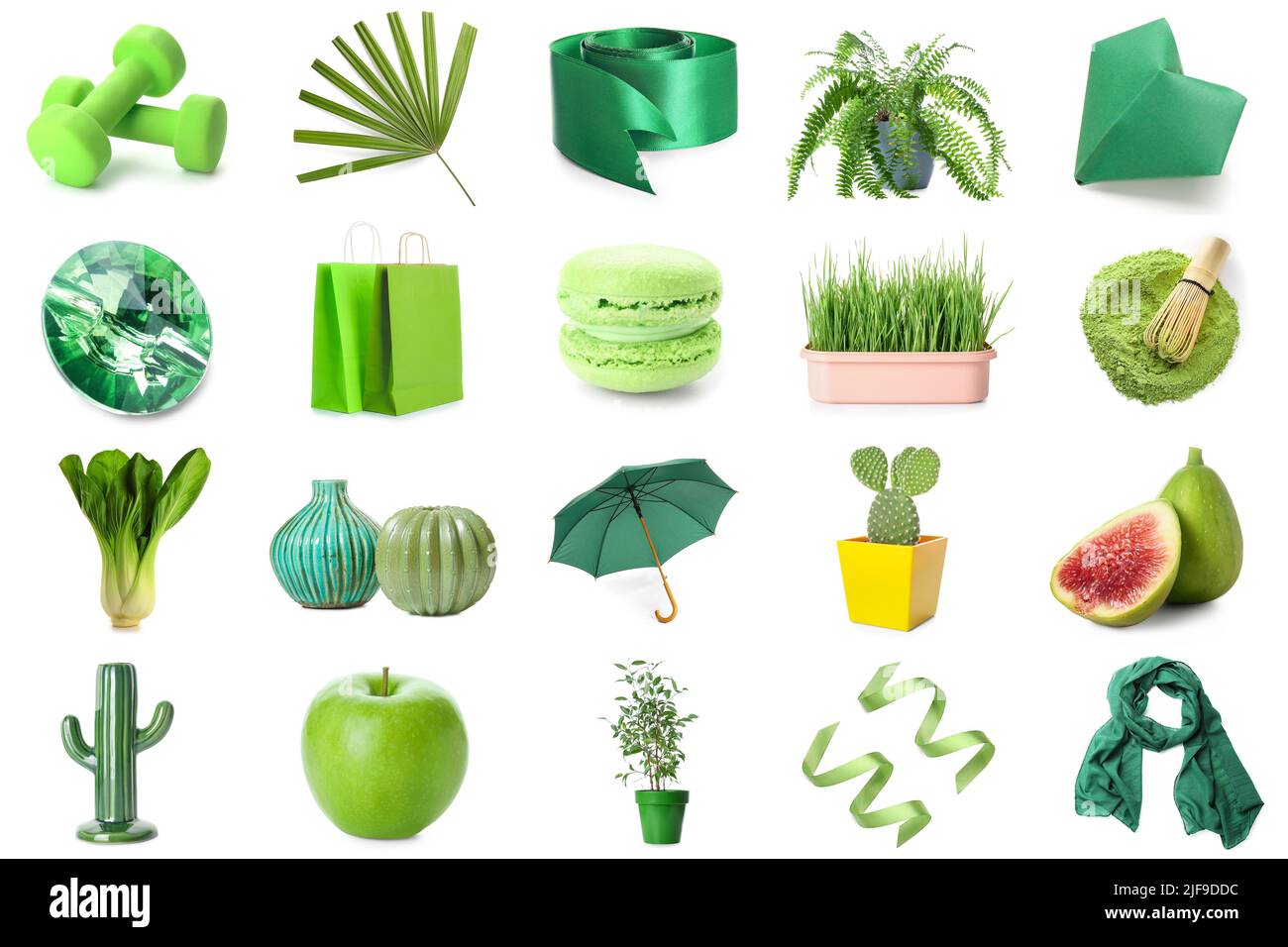 Collage of different green items on white background Stock Photo - Alamy