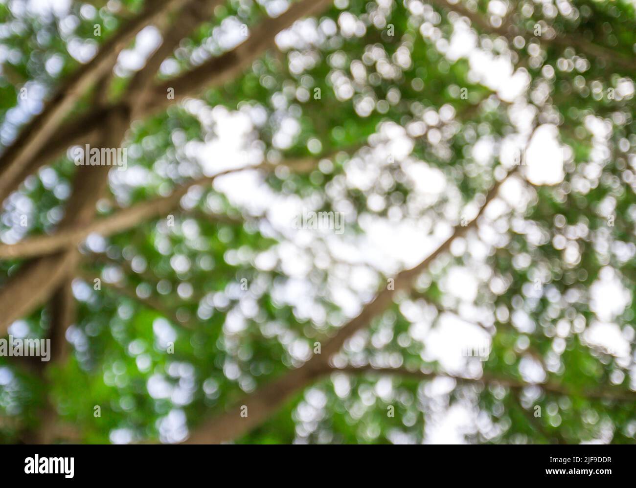 Sunny abstract hi-res stock photography and images - Alamy