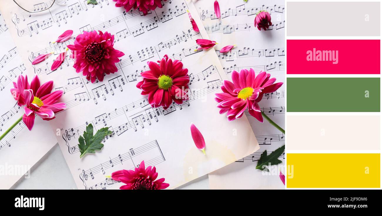 Beautiful flowers on music sheets. Different color patterns Stock Photo ...