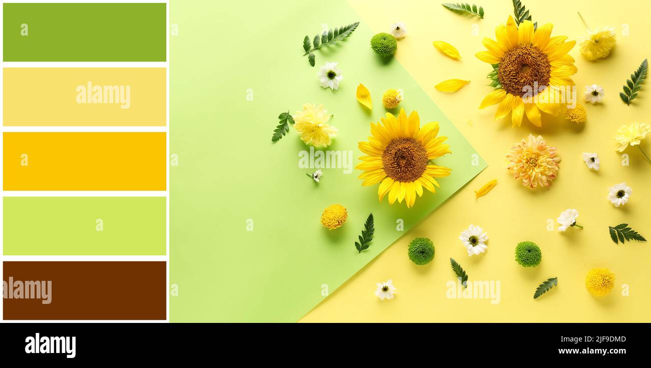 Beautiful composition with flowers on yellow background. Different ...