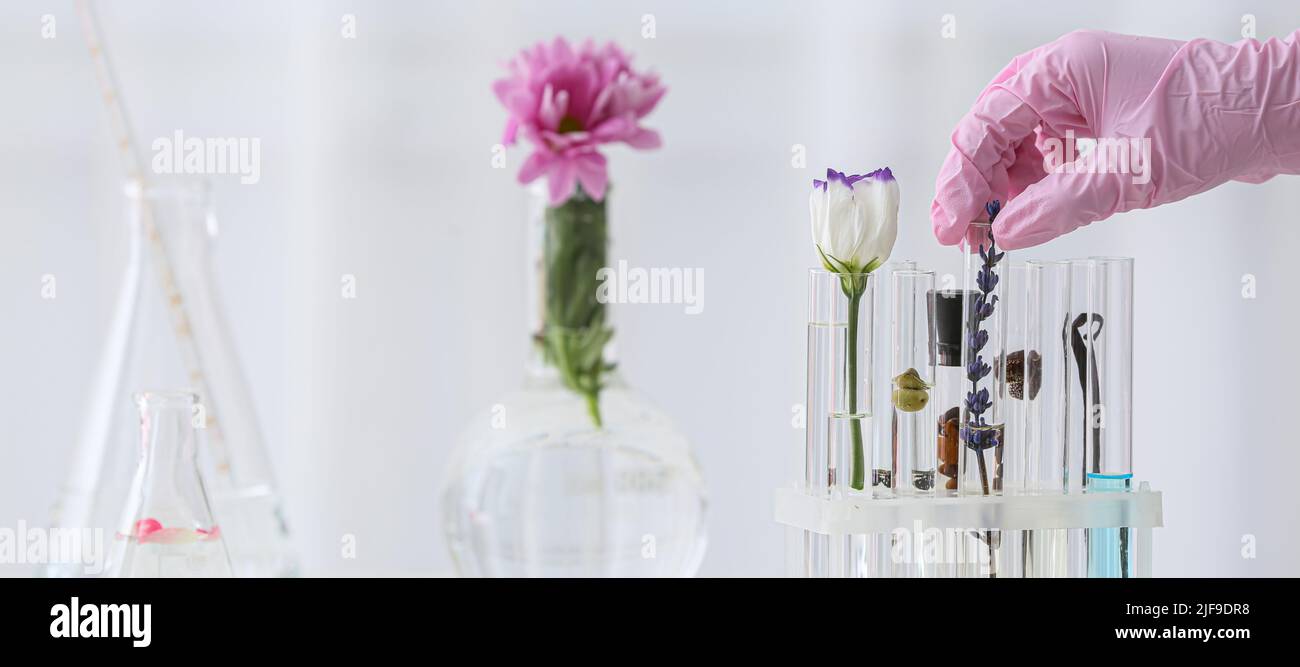 Laboratory glassware different flowers hi-res stock photography and ...