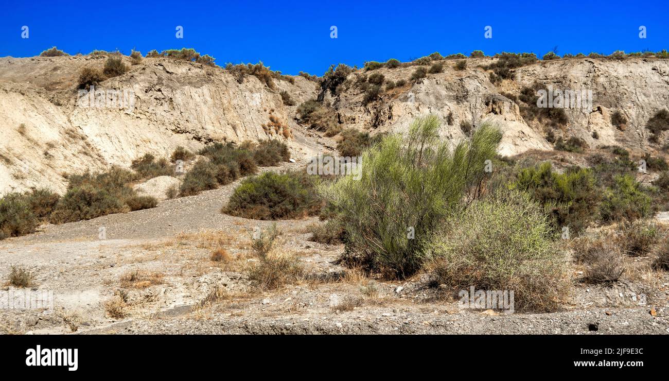 Tabernas Desert Nature Reserve, Special Protection Area, Hot Desert ...