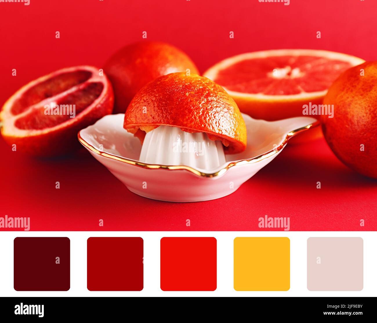 Ceramic juicer with blood oranges on red background. Different color ...