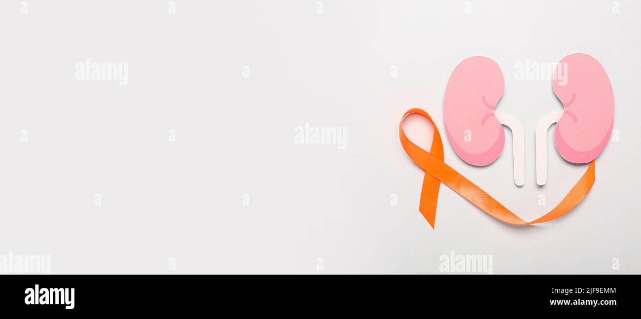 Orange ribbon and paper kidneys on light background with space for text ...