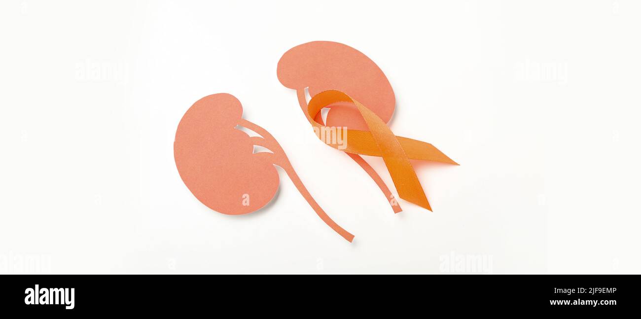 Orange ribbon and paper kidneys on white background. Cancer awareness ...