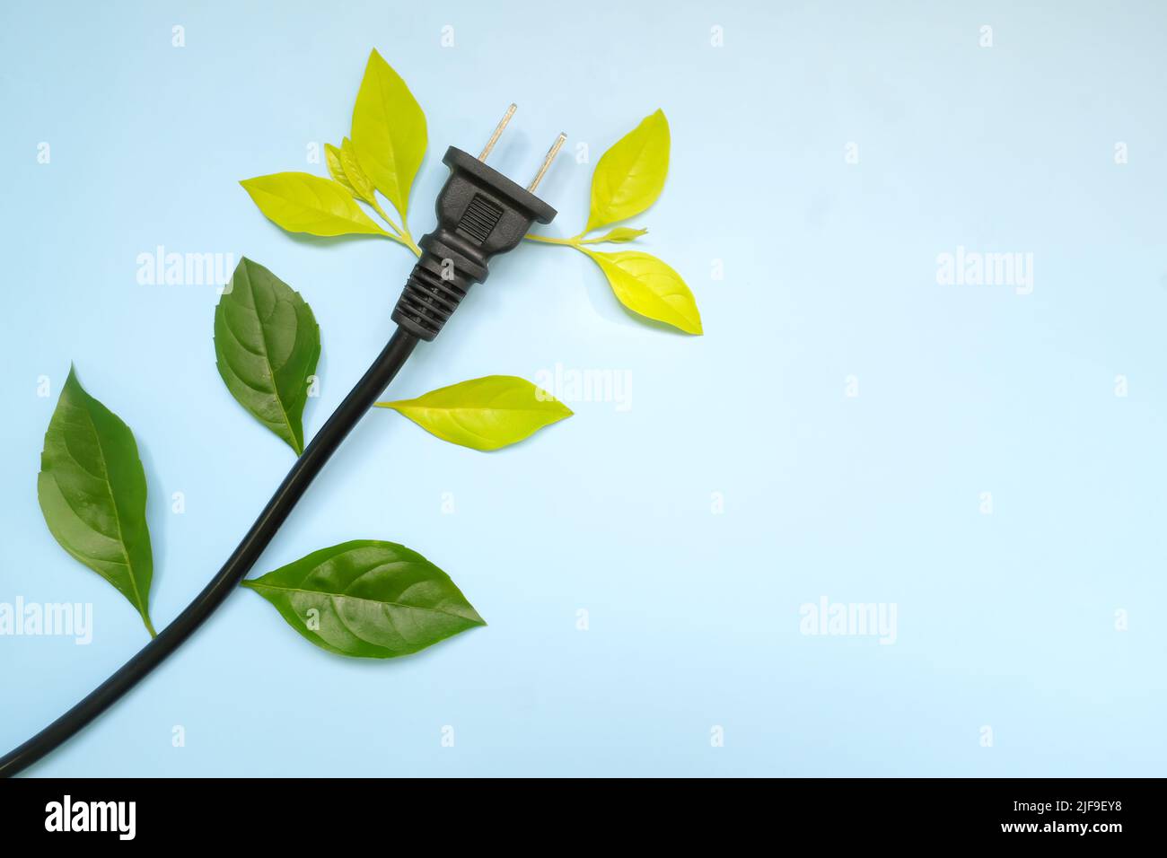Unplug electric appliances hi-res stock photography and images - Alamy