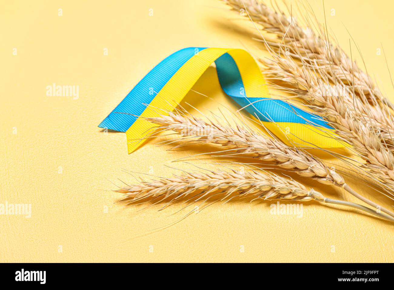 Wheat spikelets and ribbons in colors of Ukrainian flag on yellow ...