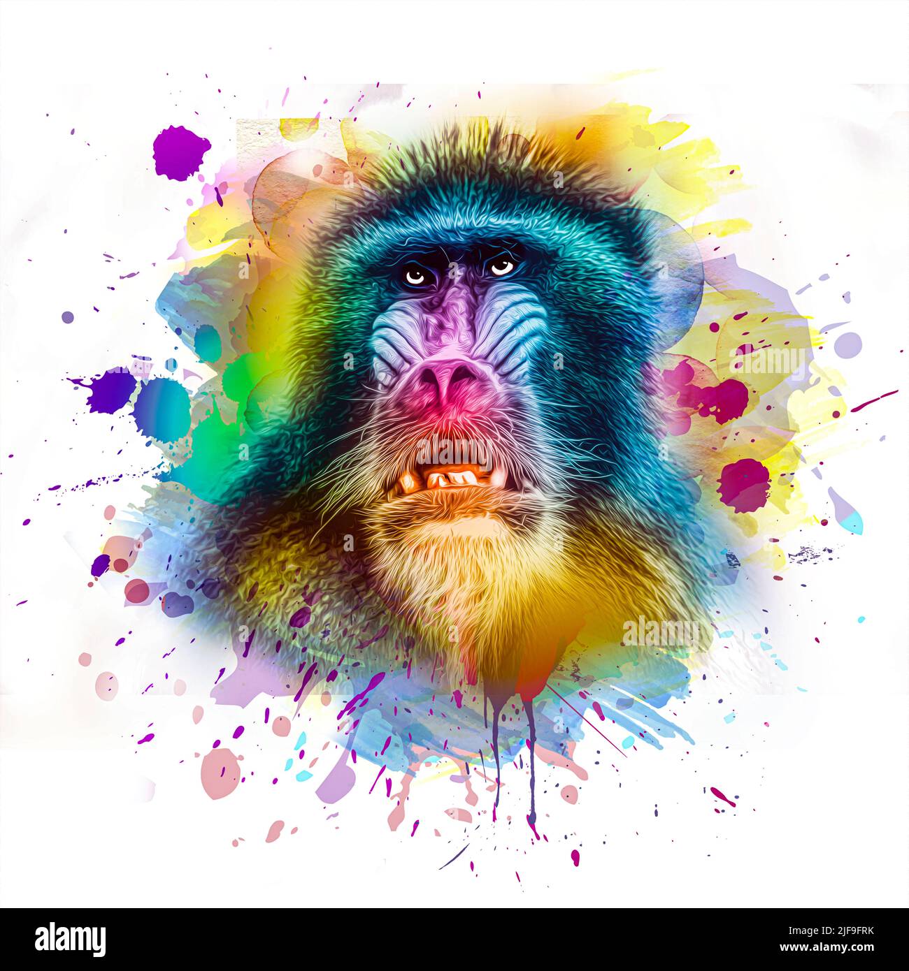 colorful artistic monkey babuino muzzle with bright paint splatters on ...