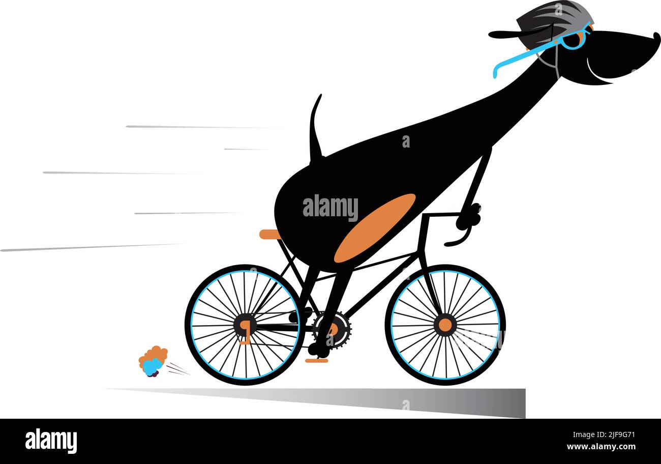 Funny dog riding a bike illustration. Cartoon dachshund in helmet and ...