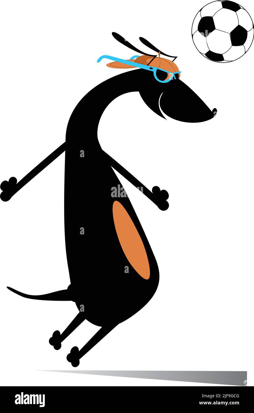 Dog playing football isolated. Cartoon dachshund beats a football by ...
