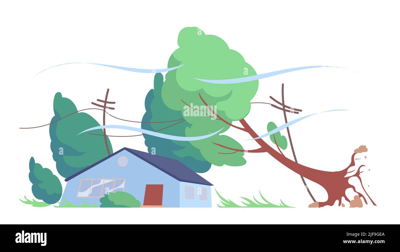 Hurricane trees strong wind Cut Out Stock Images & Pictures - Alamy